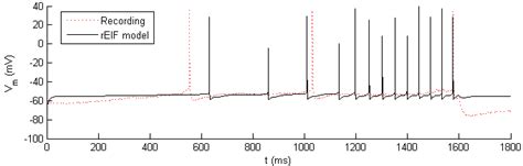 15 The Refractory Exponential Integrate And Fire Model Compared To Download Scientific