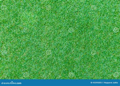 Seamless Golf Green Grass Texture Maps Texturise Free Seamless Images