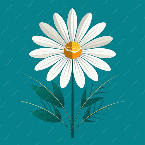Daisy Vector Illustration Daisy Clipart Daisy Illustration Examples