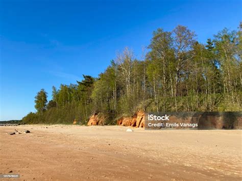 동굴이있는 오렌지 모래 절벽이있는 바다 해변 녹색 잔디와 녹색 잎나무바위에 성장 0명에 대한 스톡 사진 및 기타 이미지 0명 곶 구름 Istock