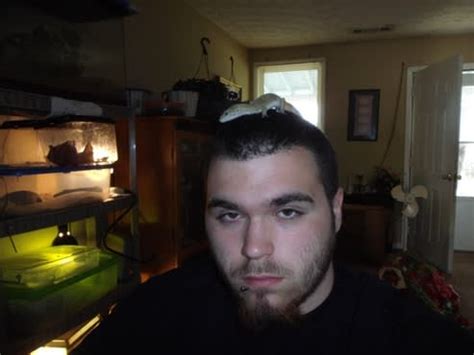 Remotely Optimize Your Computer With Teamviewer By Valhoon Fiverr