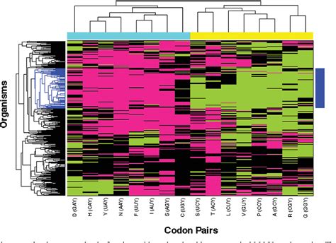 Figure 1 From Codon Usage Bias In Prokaryotic Pyrimidine Ending Codons