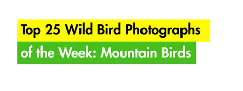 Html Setting Multiple Background Colors To H1 Stack Overflow