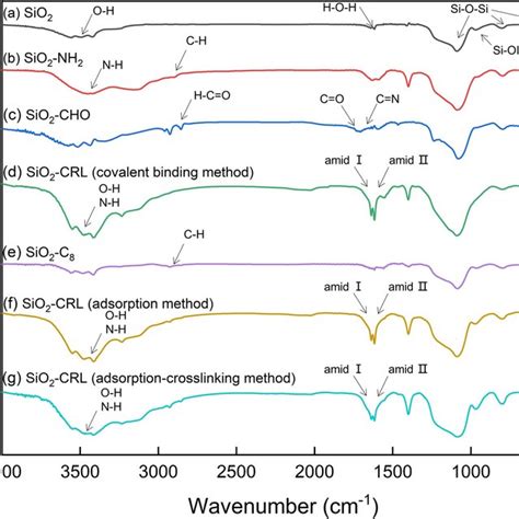 Ftir Spectrum Of A Sio2 B Sio2 Nh2 C Sio2 Cho D Sio2 Crl