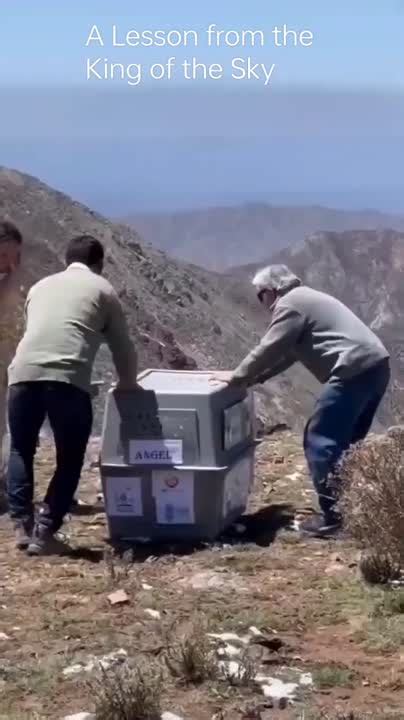 Video Harshad Joshi On Linkedin Skies After Discomfort