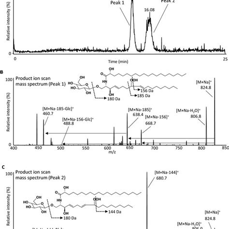 Mass Chromatogram And Mass Spectra Obtained From Product Ion Scan Download Scientific Diagram