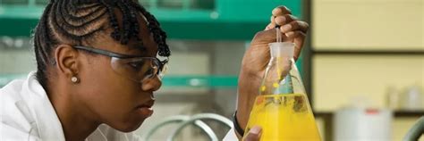 Office Of Experiential And Integrative Learning Bowie State