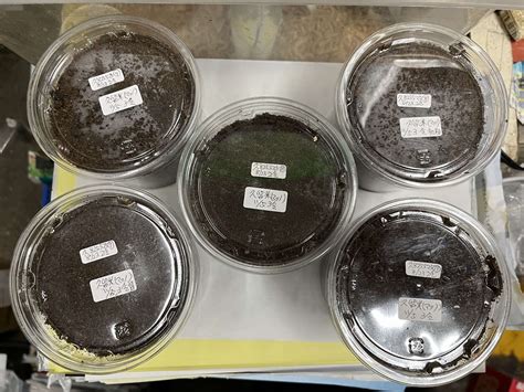 ポロロッカ足柄 神奈川県南足柄市のペットショップ