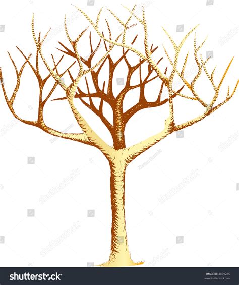 Hand Drawn Vector Tree Without Leaves Shutterstock
