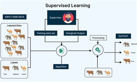 Top 50 Machine Learning Algorithms