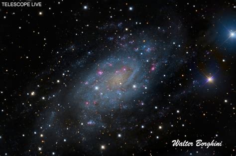 NGC 2403 Telescope Live