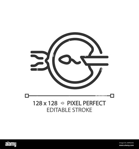 Intracytoplasmic Sperm Injection Linear Icon Stock Vector Image And Art