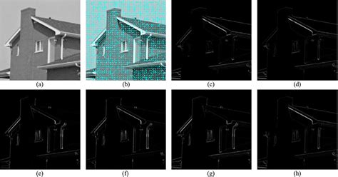 Figure 1 From Weighted Lic Based Structure Tensor With Application To Image Content Perception