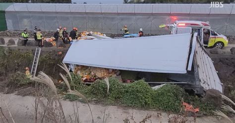 영상 감귤 적재 45t 트럭 도로 옆 추락운전자 병원행