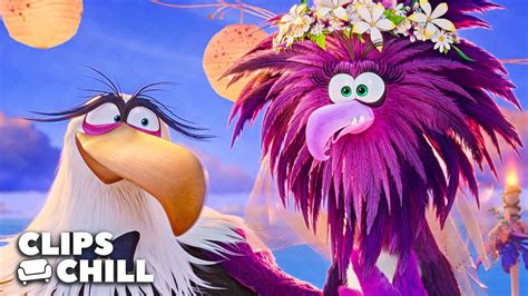 La Boda De Zeta Y El Águila Poderosa Angry Birds 2 La Película Youtube