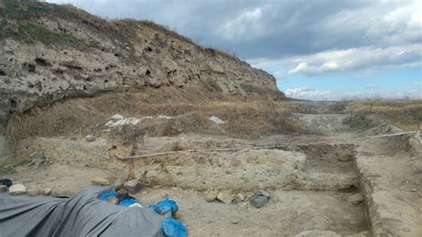 47 отзива за Селищна могила Юнаците Музей в Пазарджик Пазарджик