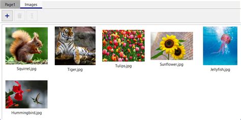 Integration Of Image Resources Quickhmi Documentation