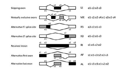 Leveraging Transcript Quantification For Fast Computation Of Alternative Splicing Profiles RNA