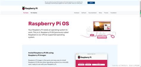 嵌入式系统和物联网常见的开发板介绍目前流行的嵌入式开发板对比介绍 Csdn博客