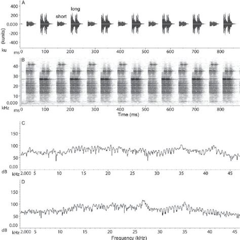 Waveform A Spectrogram B And Spectral ProÞles C Short Pulse Download Scientific Diagram