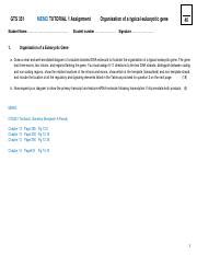 TUT1 Assignment MEMO 2023 NEW Pdf GTS 351 MEMO TUTORIAL 1 Assignment Babe Name