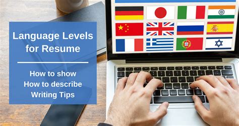 Language Skills Proficiency Levels On Resume Resume Examples Cake