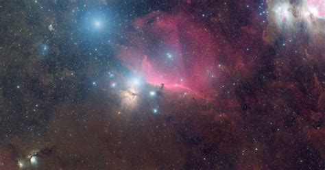 Horsehead Nebula Telescope Live