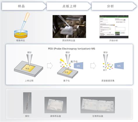 DPiMS 8060 原位探针电喷雾离子源 北京芃诚科技有限公司