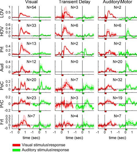 Absolute ERP Averages In Different Cortical Regions In The Three Download Scientific Diagram