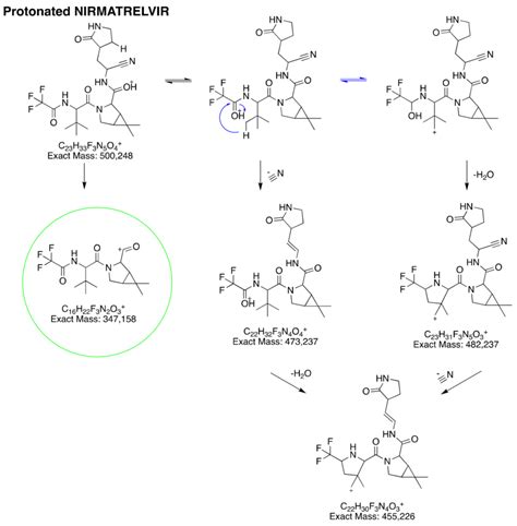 Proposed Fragmentation Pattern Of Protonated Nirmatrelvir The Download Scientific Diagram