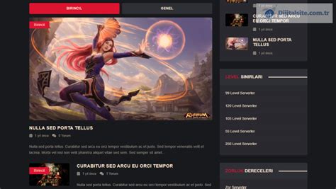 Oyun Tanıtım Scripti