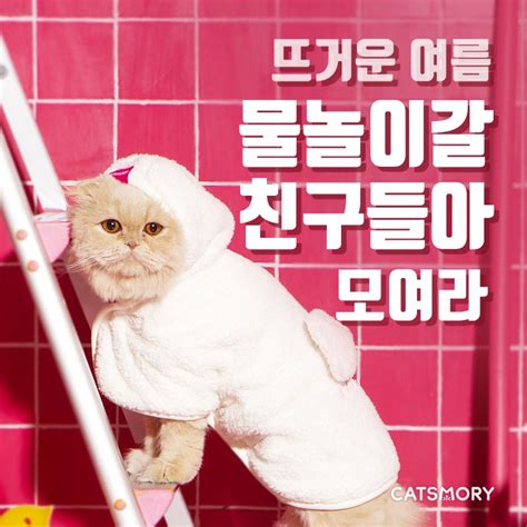 캣츠모리 물놀이 갈 친구들아 모이라옹 극세사로 만들어 흡수가 빠른 귀여운 목욕가운을 와디즈에서 만나보세요 핵인싸템