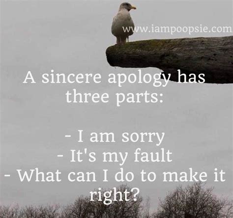 Sincere Apology Quote 3 Parts I Am Sorry Its My Fault What Can