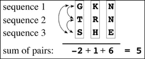 Multiple Sequence Alignment Using Clustal By Roopamseal Medium