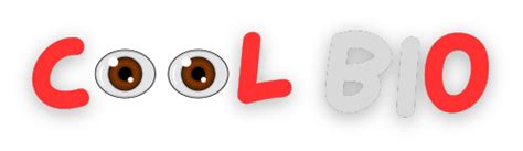 Top 1008 Stylish Whatsapp Bio Style Cool Bio Ideas