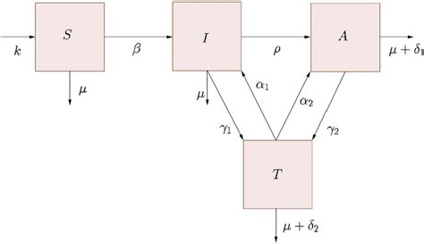Epidemiological Scheme Of The Hiv Aids Transmission Model Download Scientific Diagram