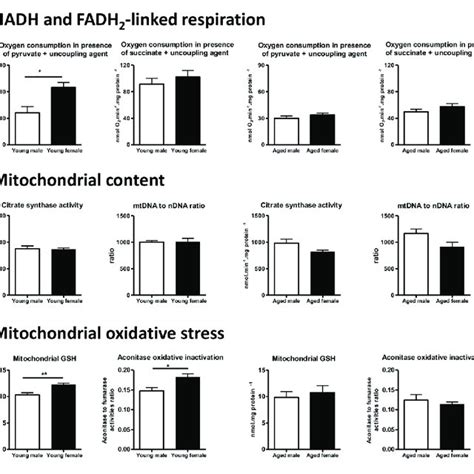 Sex Differences In Brain Mitochondrial Metabolism In Young Download Scientific Diagram