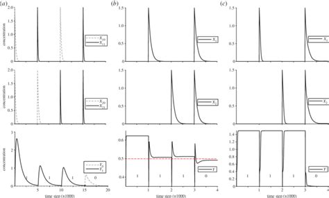 Simulation Of The Nand Function On Four Different Combinations Of The