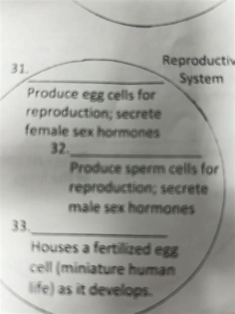 Reproductive Diagram Quizlet Reproductive Diagram Quizlet
