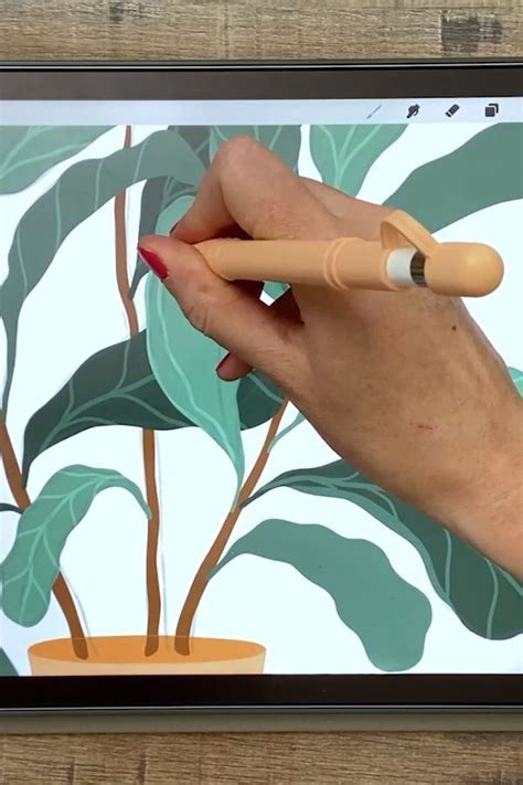 Plant Illustrations In Procreate Artofit
