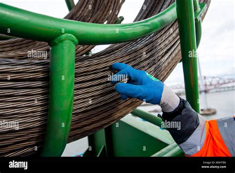 Forth Replacement Crossing Queensferry Crossing Formerly The Forth Replacement Crossing In
