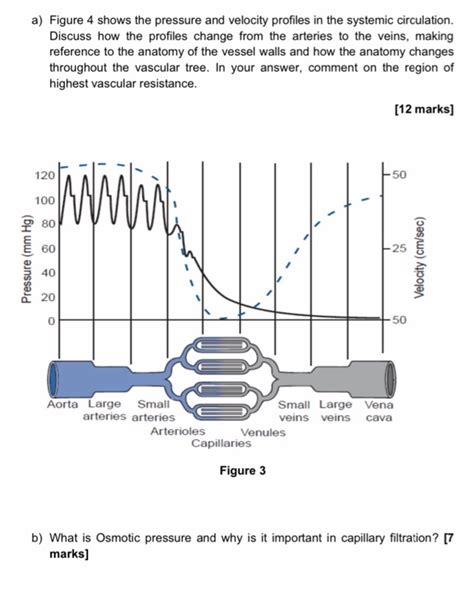 Solved A Figure 4 Shows The Pressure And Velocity Profiles