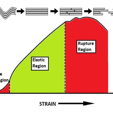 The Stress Strain Curve Of A Generic Ligament In Green The Elastic