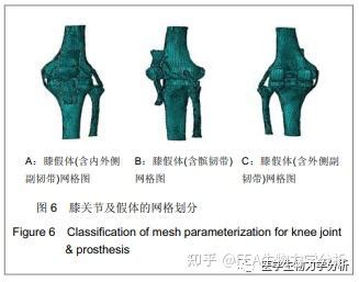 虚拟置换后的膝关节力学分析 知乎