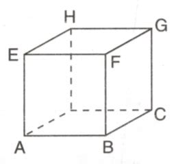 The Angle Between Two Adjacent Edges Of A Cube And Cuboid Is