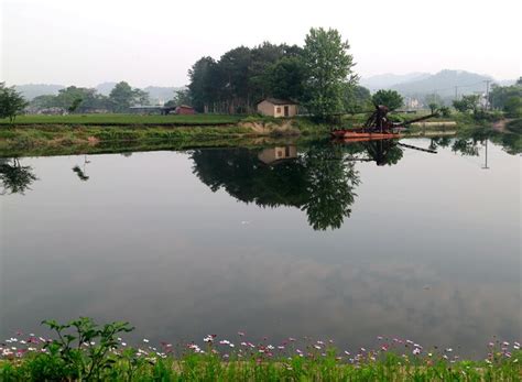 松阳春天里的绿道风景 松阳新闻网
