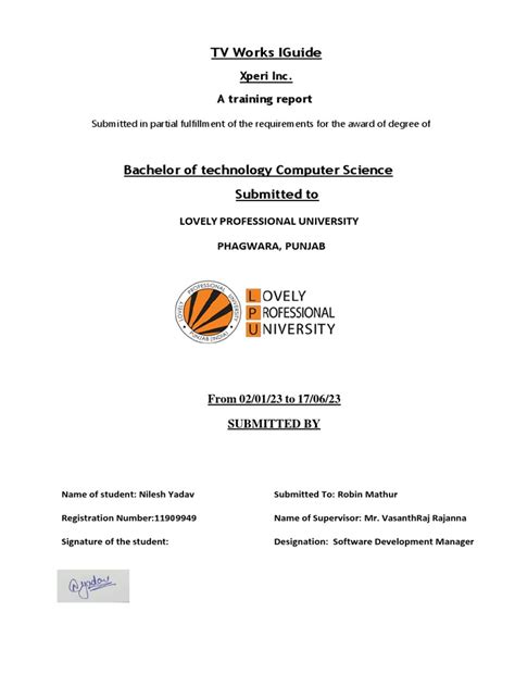 Final Report Pdf Software Testing Python Programming Language