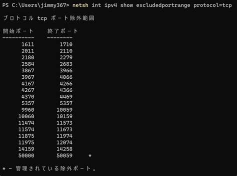 Vite 5173 端口占用 Jimmys Blog