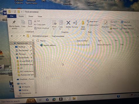 Problems With Saving My Annotations Imfusion Labels Imfusion
