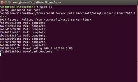 Sql Installation Steps Of Sql Server Container Image With Docker